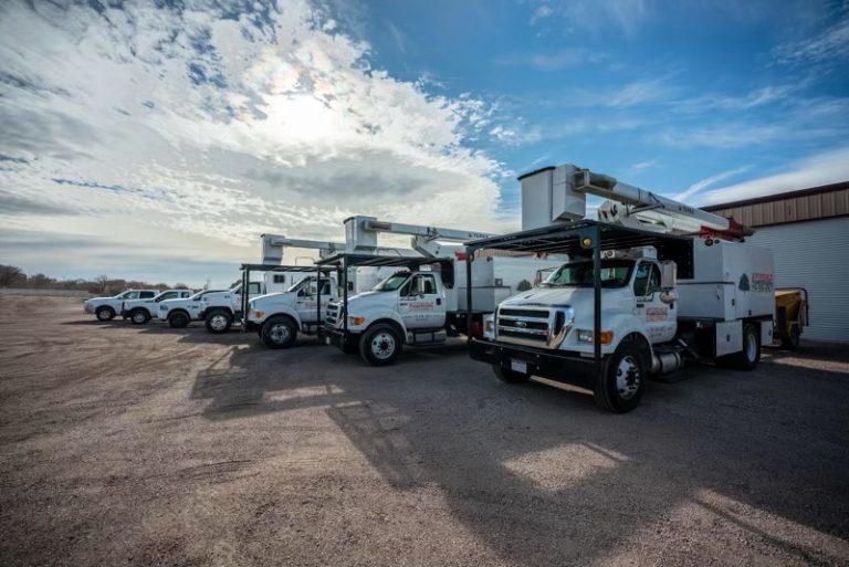 Affordable Complete Tree Service & Care - Colorado Springs, CO